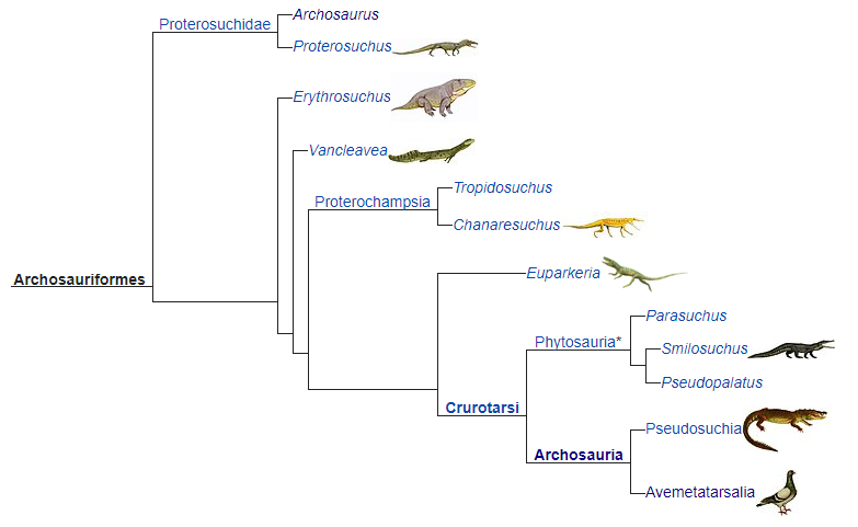 Coelho pré-Cambriano: Arcossauromorfos – Mortos, mas não esquecidos ...