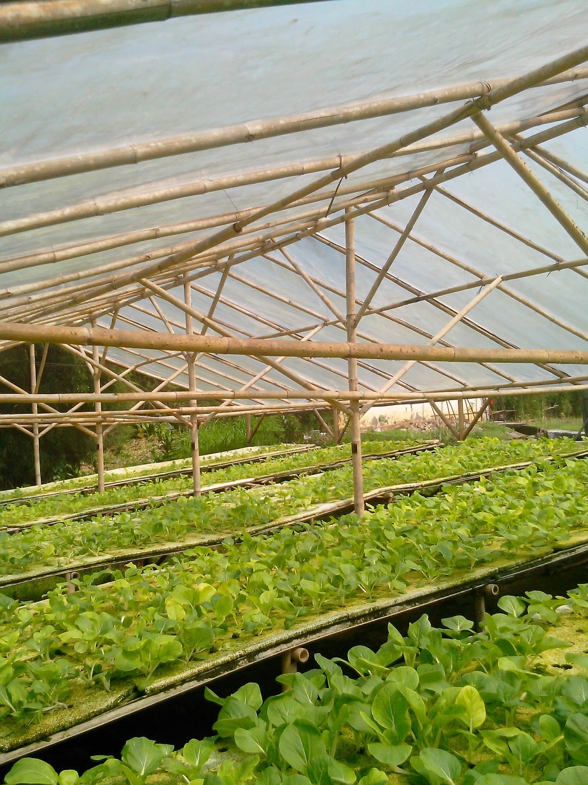 Writing is healing!: Berkunjung ke Parung Farm