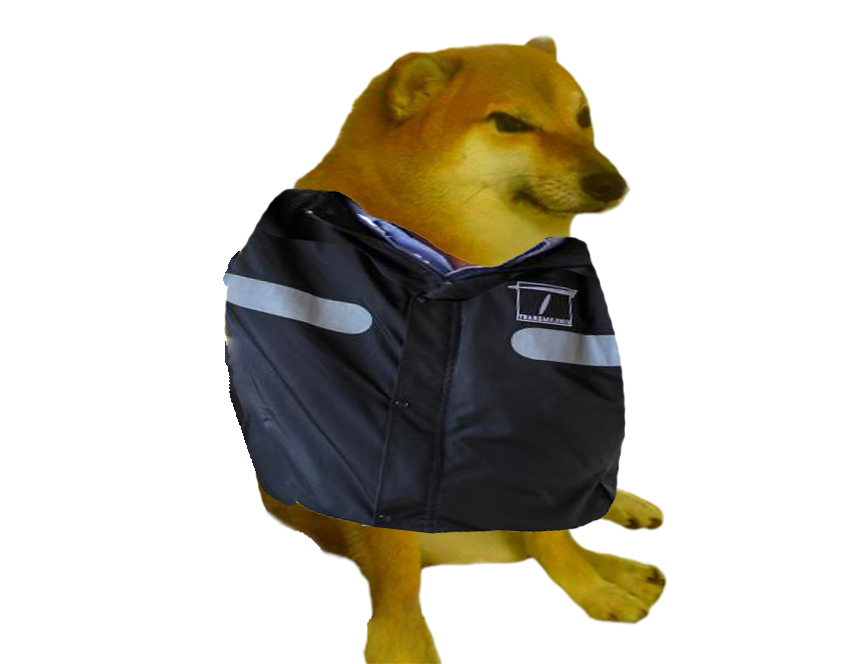 COLOMBIA CHEEMS: Cheems conductor transmilenio