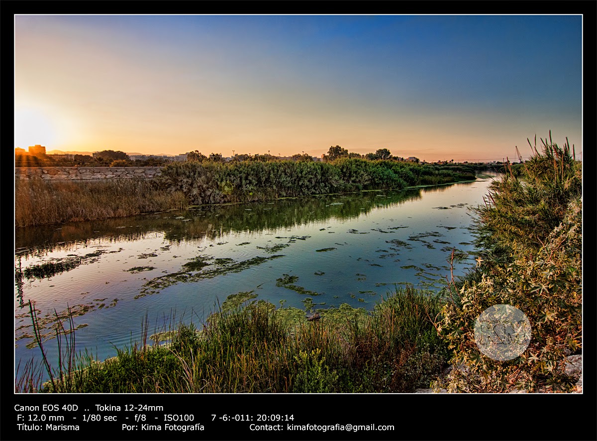 KiMa Fotografia: Marisma