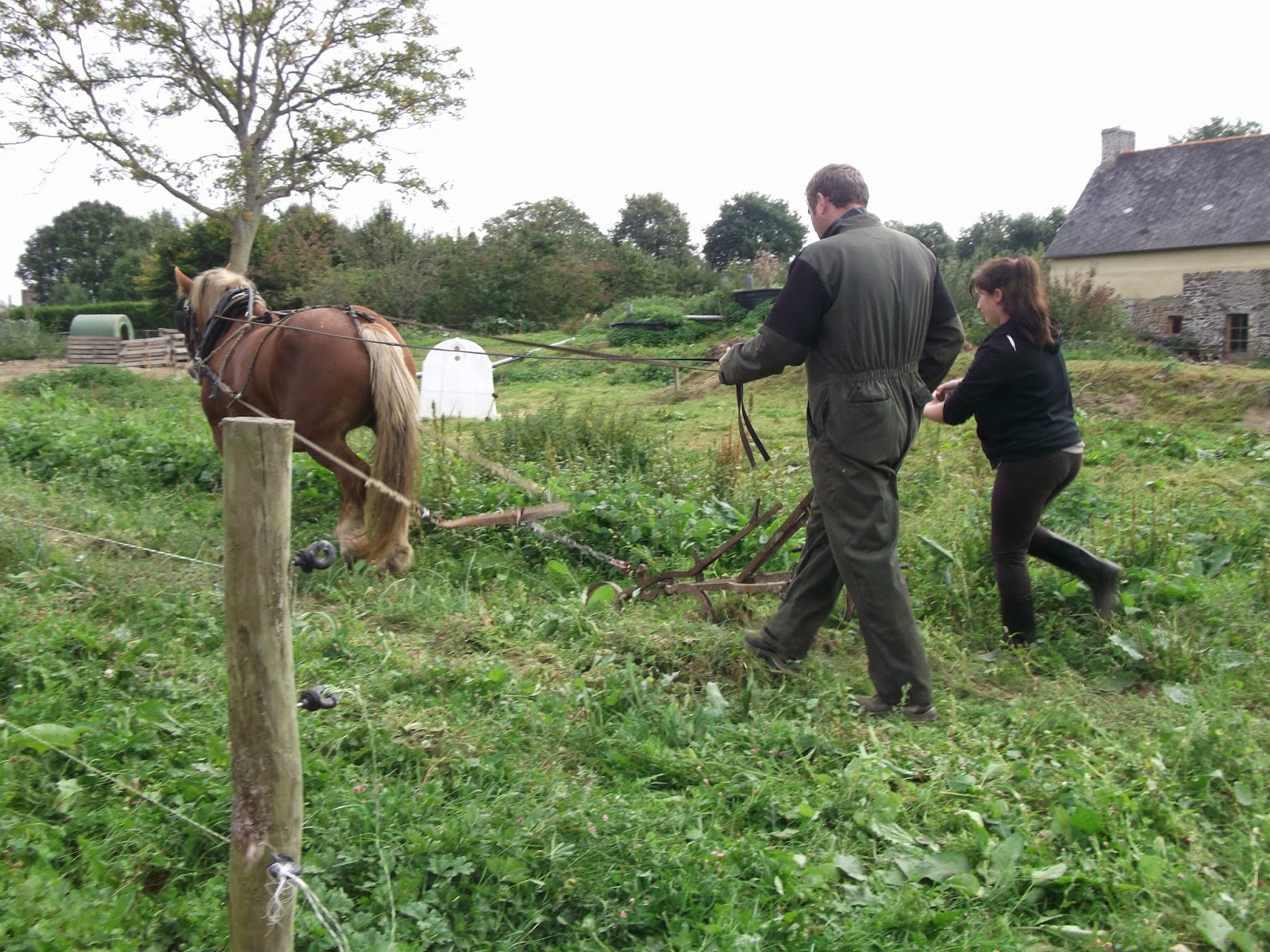 LA FERME DU FAIRE A CHEVAL Centre de Réflexion et de Formation à La ...