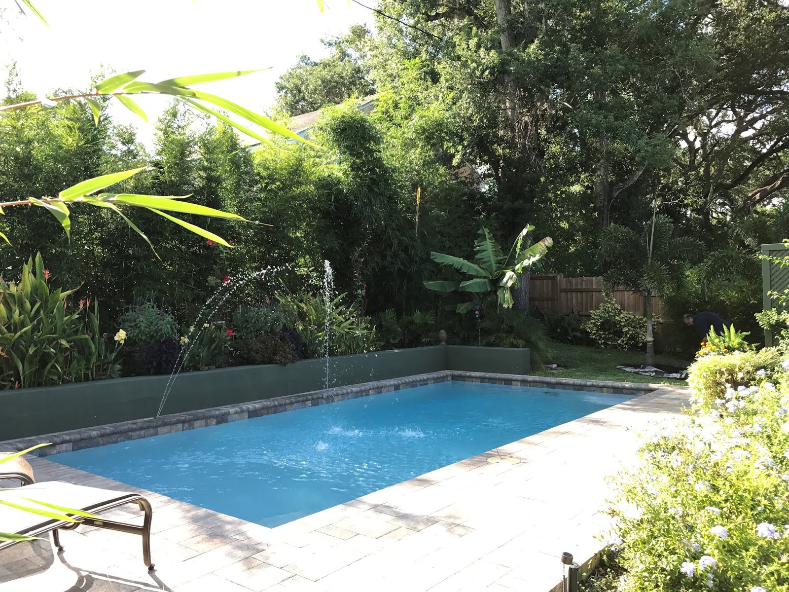 Welcome | Bamboo from Florida for Privacy & Beauty. Fast-Growing, Non ...