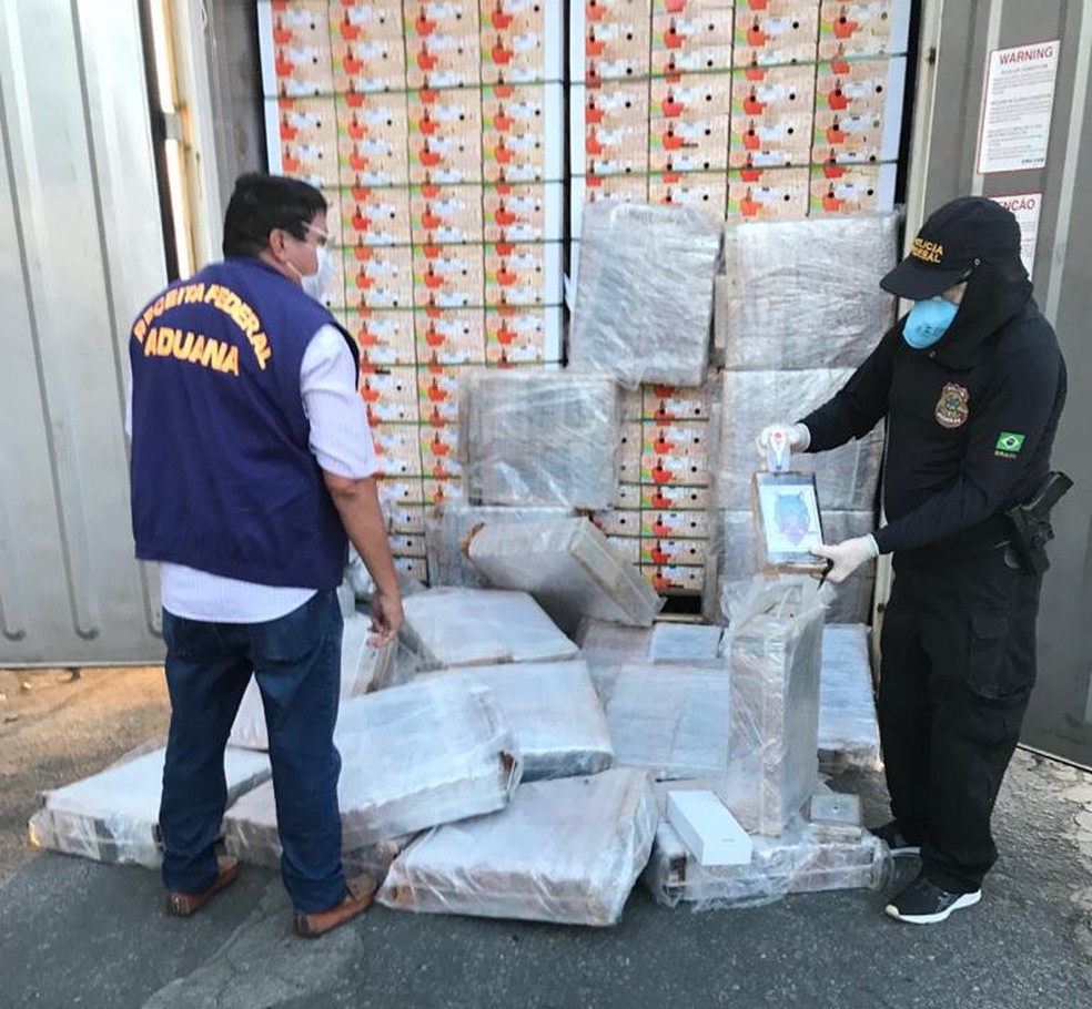 Quase 704 kg de cocaína são encontrados dentro de container com mangas ...