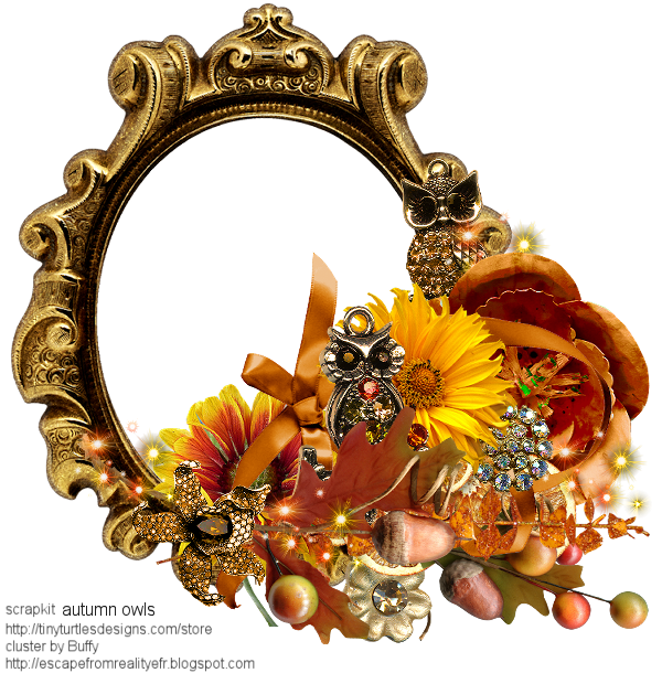 Escape From Reality Blog: FTU 'Autumn Owls' Cluster & Cluster Frames