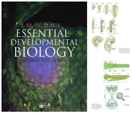 Essential Developmental Biology - Books And Magazines