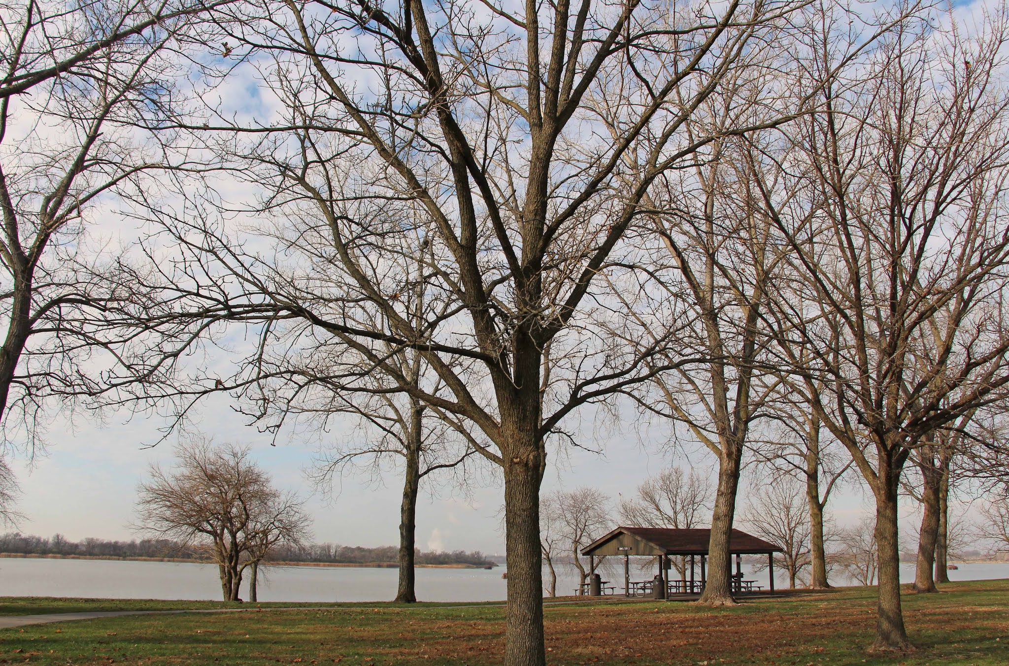 Out and About the Midwest: Horseshoe Lake, Pontoon Beach, IL
