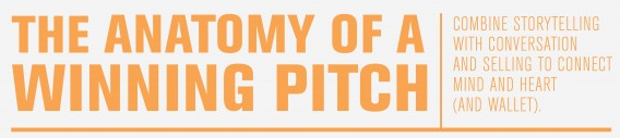 Infographic: Anatomy of a Winning Pitch - Innov8Social