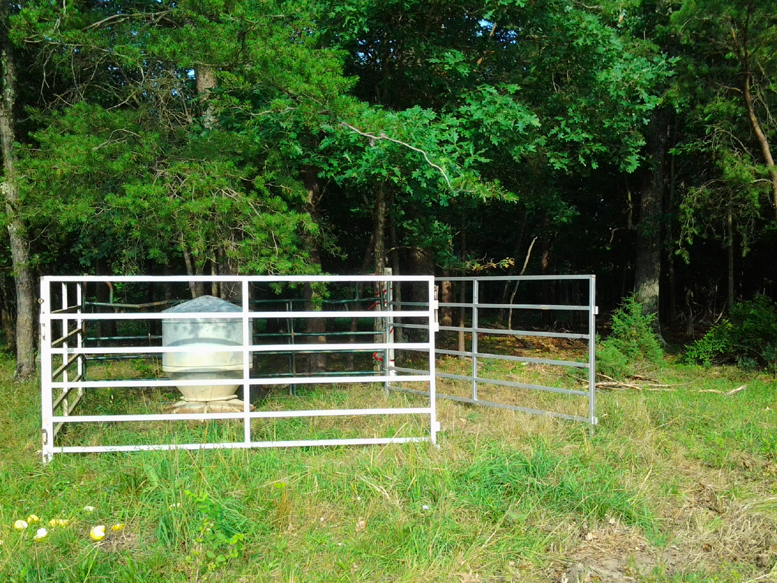 Skyview Acres: Piggie Playpen