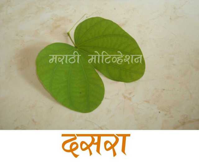 दसरा - हिंदू संस्कृतीत खूप महत्व असलेला व मोठा सण