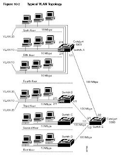 bases de la tecnologia del switch