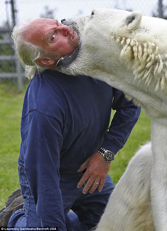 Green Chili: How to film a wight polar bear?