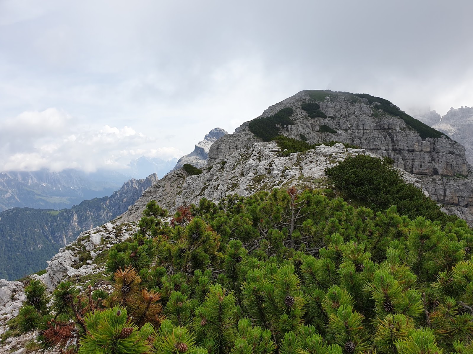 Su strade e sentieri: MONTE NEVA (m. 2.235) - Vette Feltrine