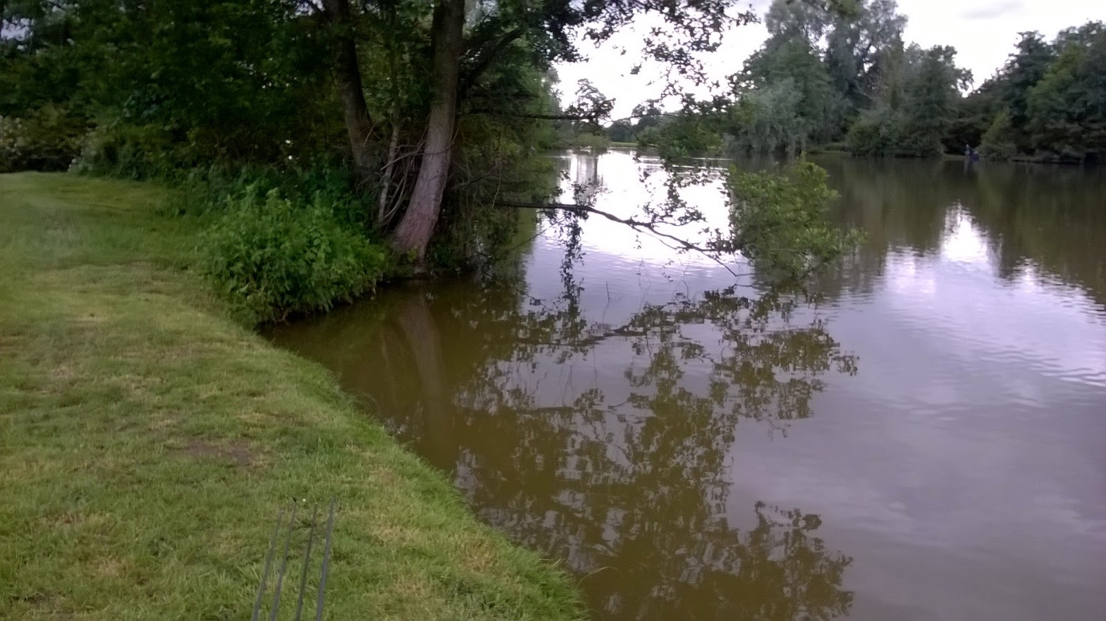 Fishing-Ken's Angling Log: 24/06/16 - Rood Ashton