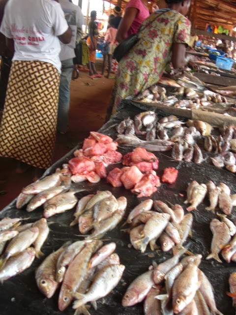 Crop Ideas: Congo Update March 2014 - Animal production study to Reduce ...