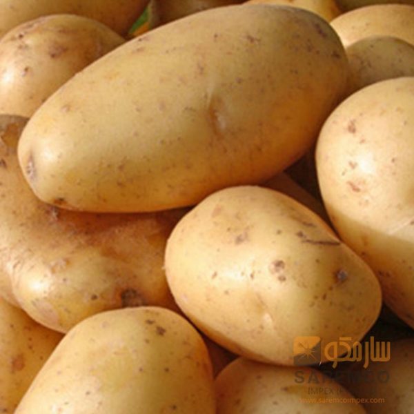 Report on Potatoes of Pakistan