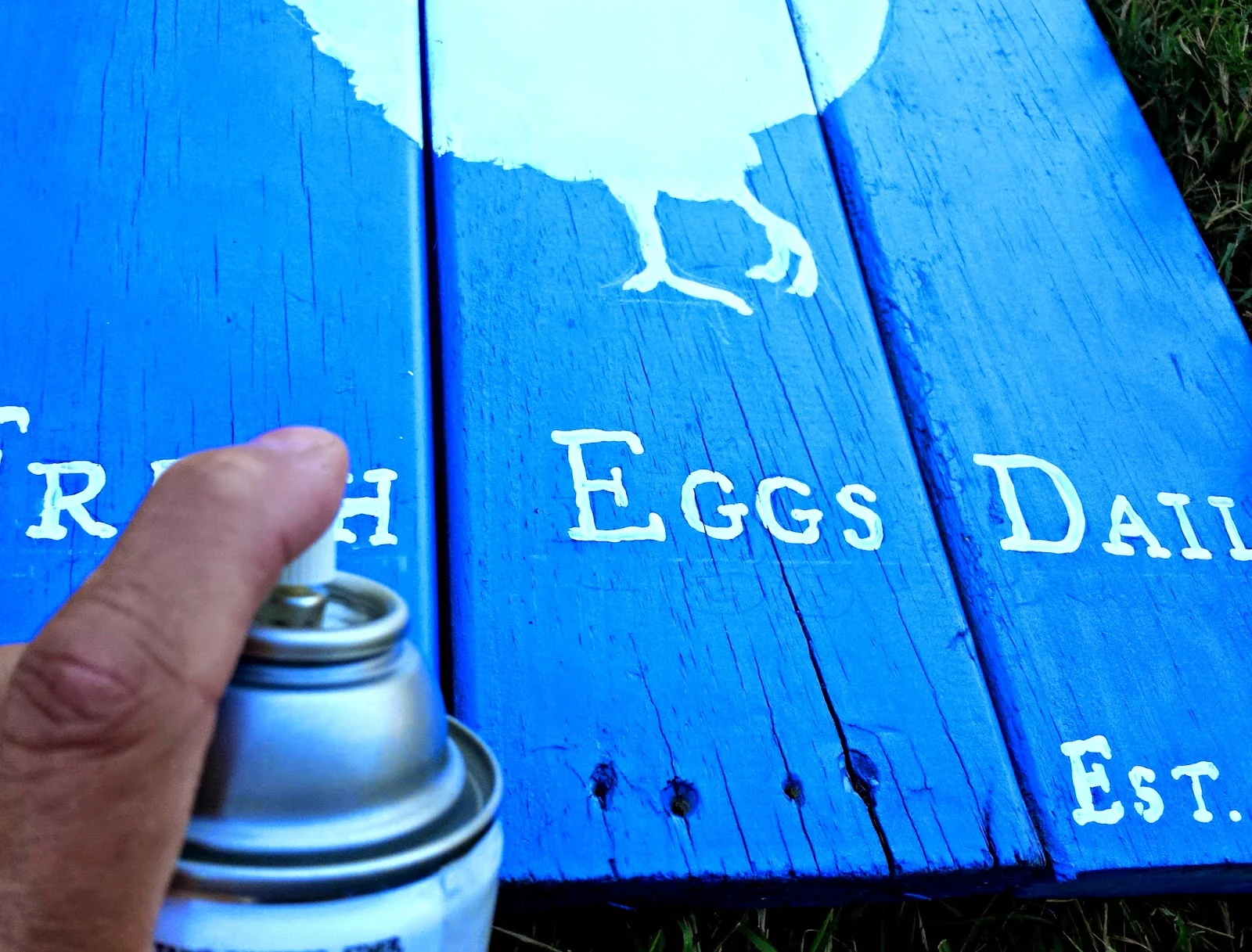 DIY Painted Chicken Coop Sign - Fresh Eggs Daily® with Lisa Steele
