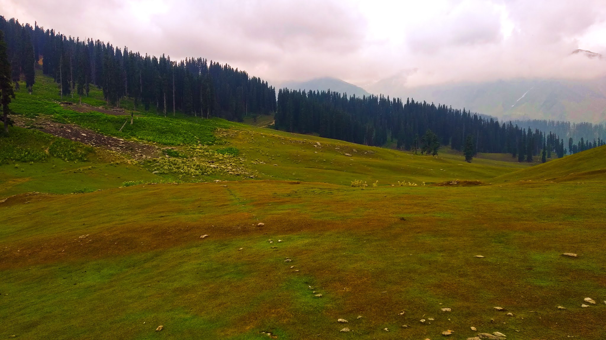 Some Beautiful Images of Tangmarg