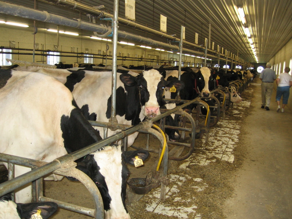 Where Agriculture and the Environment Meet: Monitoring Dry Matter Intake