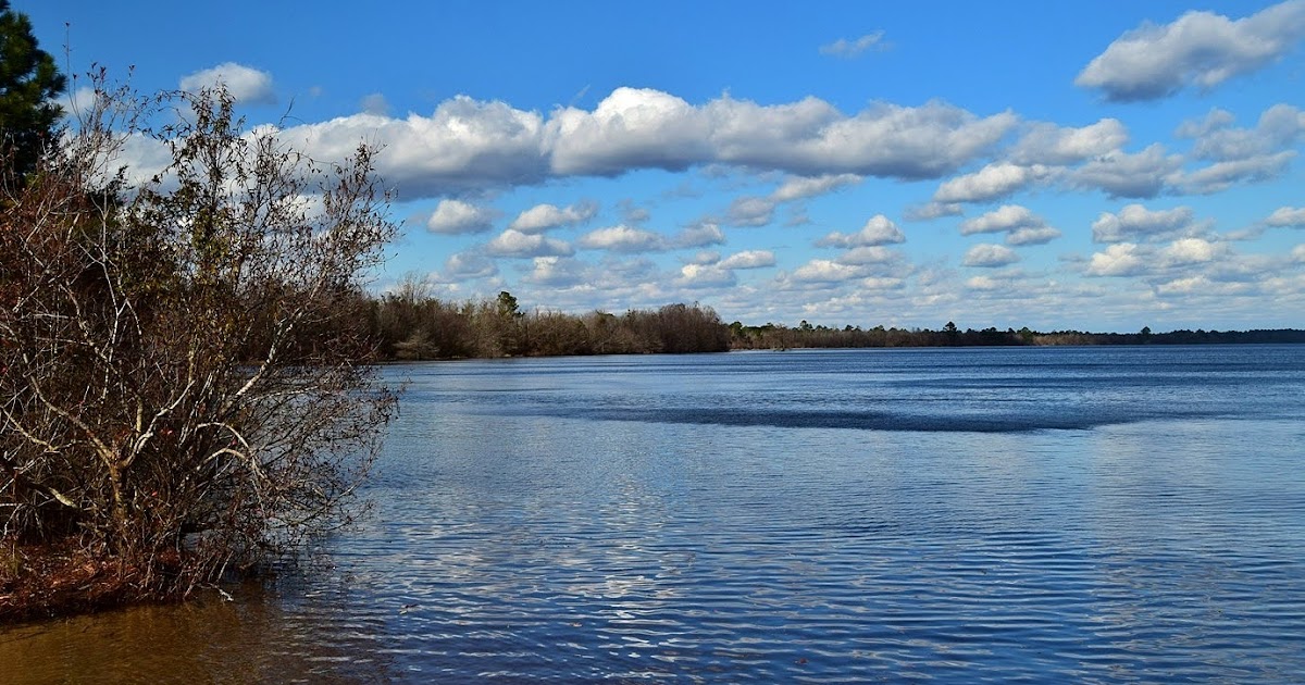 Waterfall Hero Hikes: Bay Tree Lake State Natural Area