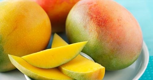 Mengenal Tanaman Mangga | anakagronomy[dot]com