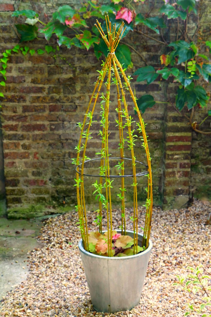 Le jardin des poussins: Oser l'osier (vivant)