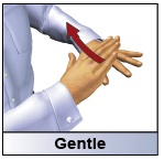 HearMyHands ASL: sign: GENTLE for Dog's sake