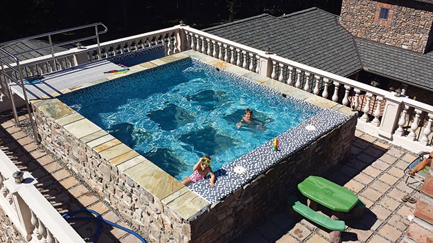 PENGUIN POOLS: The Glass Bottom Pool