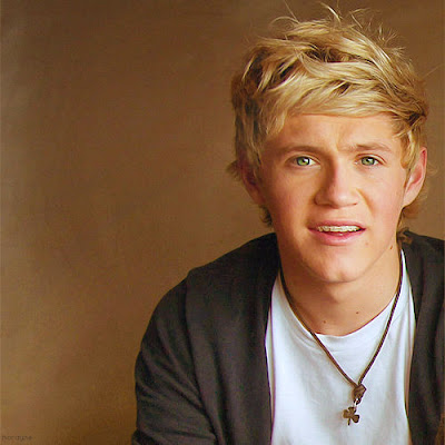 One Direction: Niall James Horan