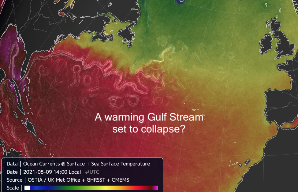 The Big Wobble : Climate scientists warn of the collapse of the Gulf ...