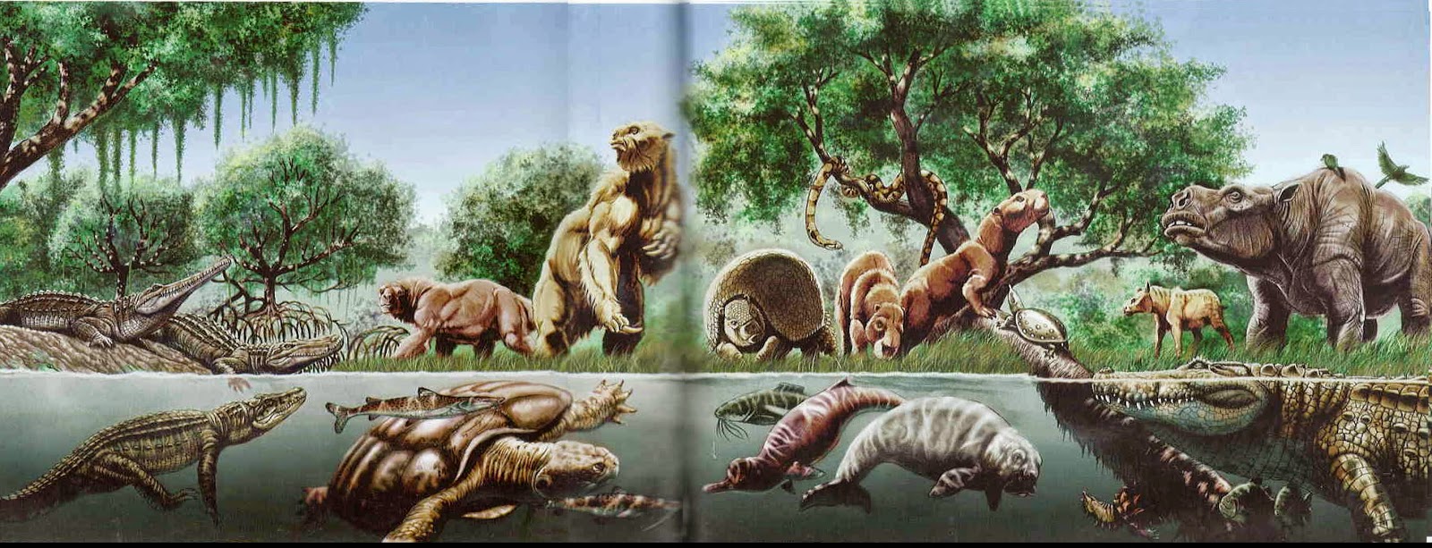 Enter: The PlesiOturtle: STUPENDEMYS, the world's largest TURTLE