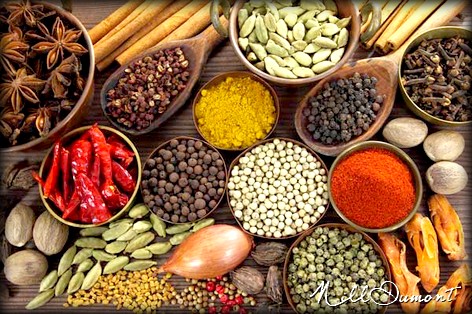 Vila Dumont: O que contém nos MIX de temperos e para que servem: