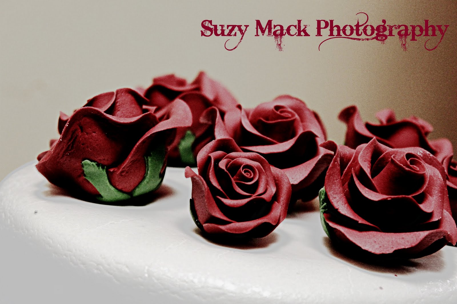 Suzy Mack Photography: Somali Wedding