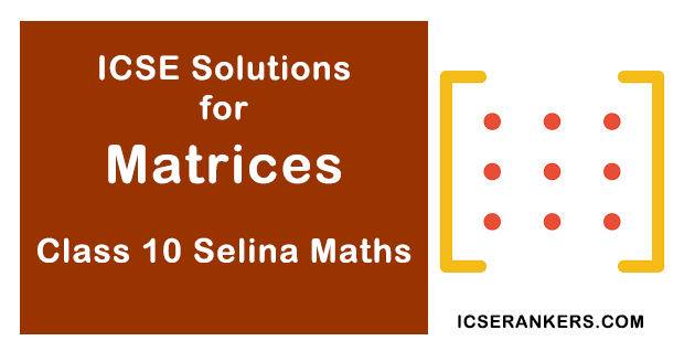Selina Chapter 9 Matrices ICSE Solutions Class 10 Maths