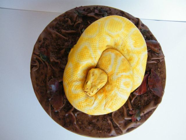 Python birthday cake