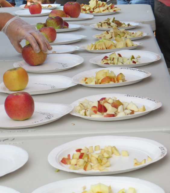 The accidental apple tourist - Adam's Apples