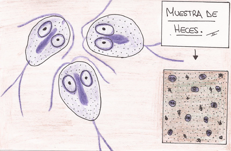 Atlas parasitología biologia sanitaria