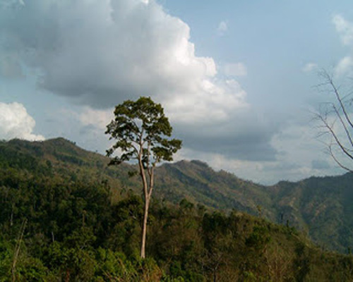 All about bangladesh,history of Bangladesh,places of Bangladesh,beauty ...