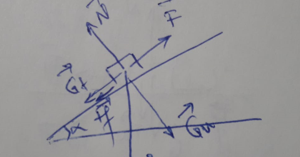 Fizica pe intelesul tau. Probleme explicate.: Mecanica. Miscare pe plan ...