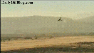 ANIMATED GIFS: agosto 2011