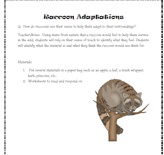 Classroom Freebies Too: Learning Center - Raccoons