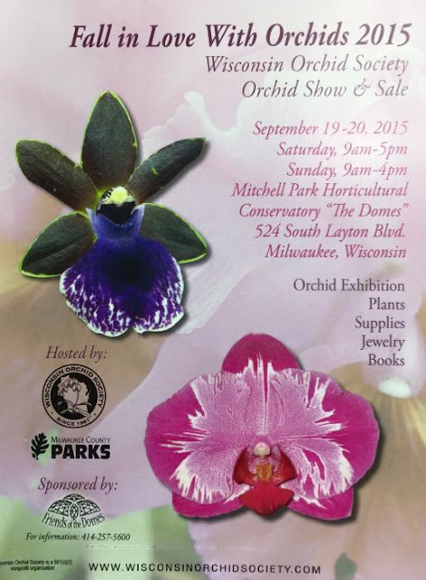 Orquídeas Blog de Angel Mar: Fall in Love With Orchids 2015 - Milwaukee ...