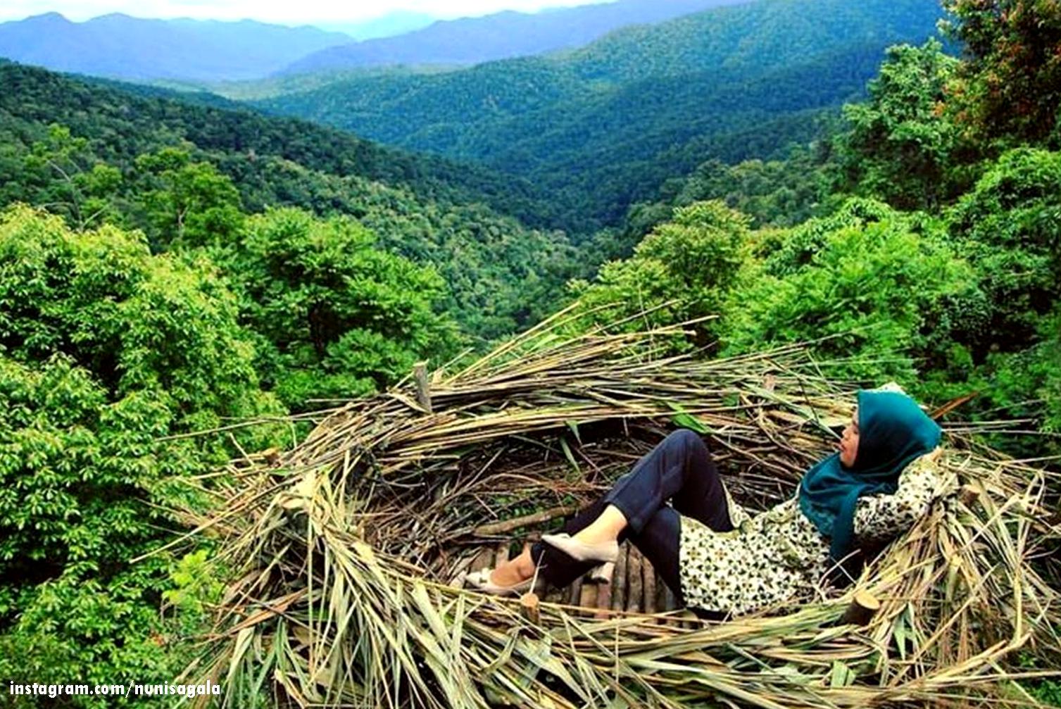 Keren, Ada Spot Wisata Ala Sarang Burung di Sidikalang - Pariwisata Sumut