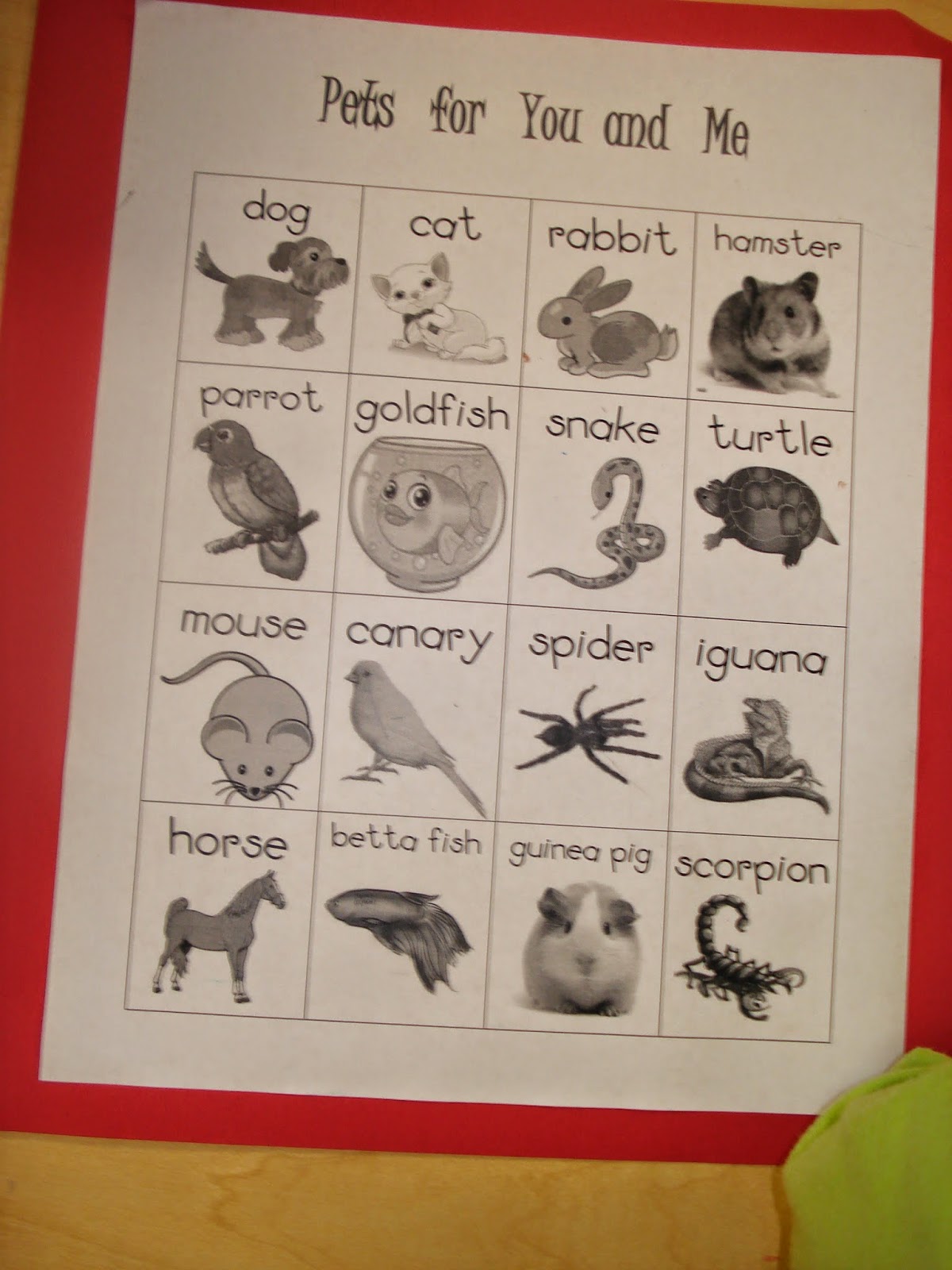 Pre K Sweet Peas: Critter Clinic