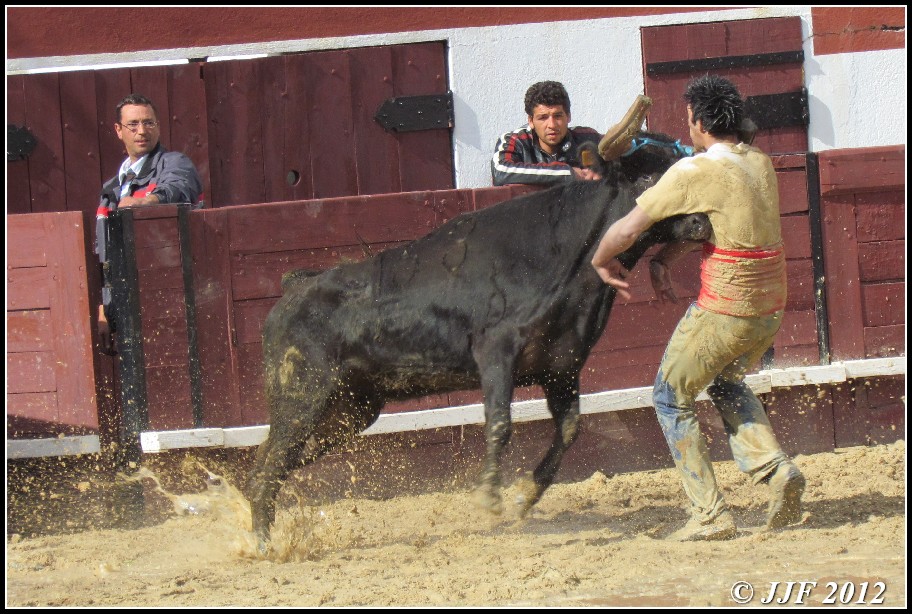 O Filho da Terra: Treino dos Forcados de Coruche