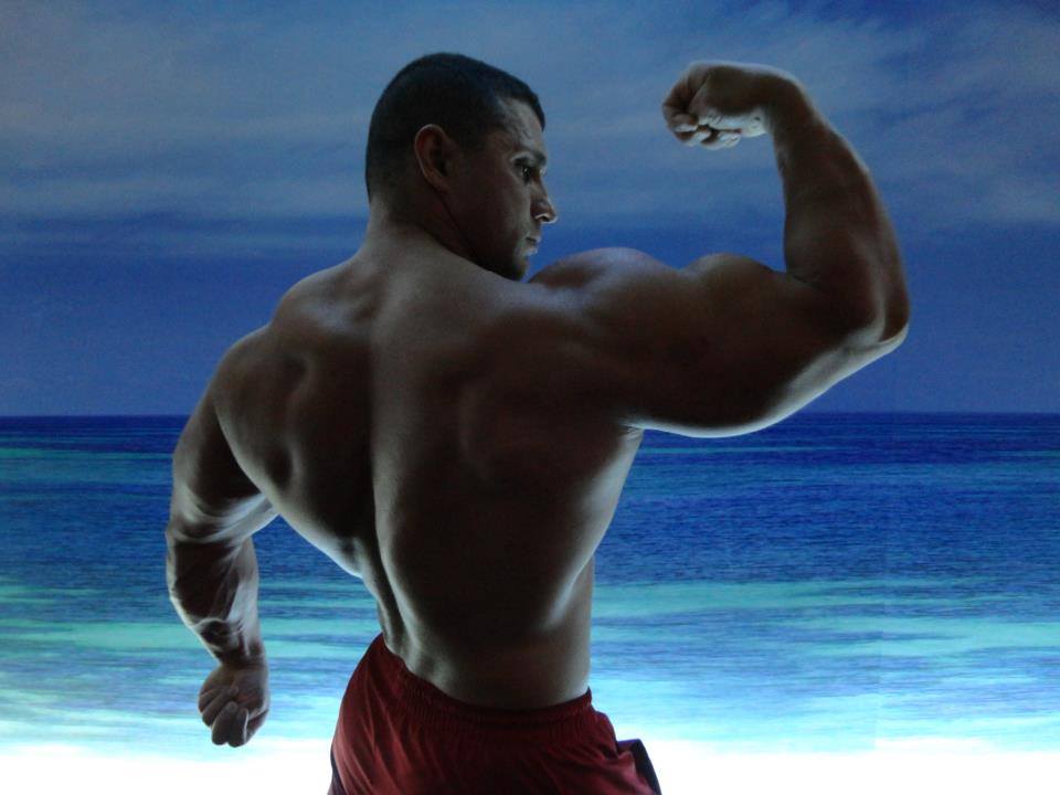 Muscle Ammiratore: IANA IONUT : THE ROMANIAN MUSCLEBULL