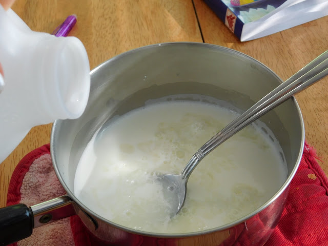 100 Days of Science #13-- Making Plastic From Milk