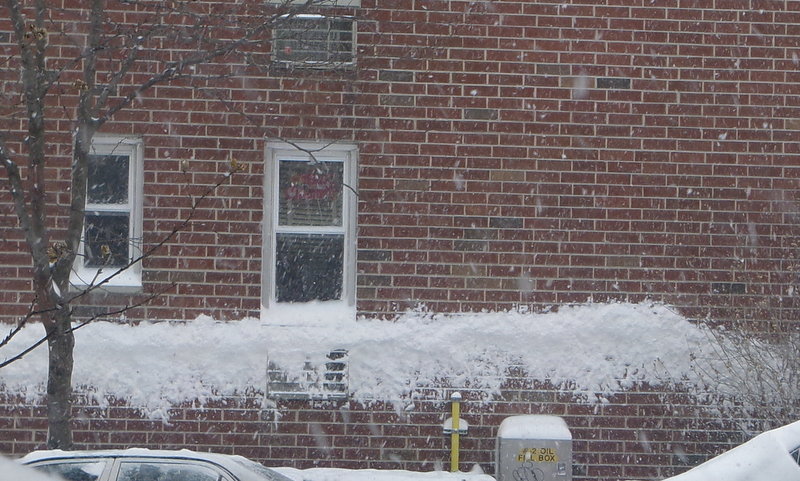 The Write Angle: It’s Frickin’ Freezing in Here, Mr. Bigglesworth