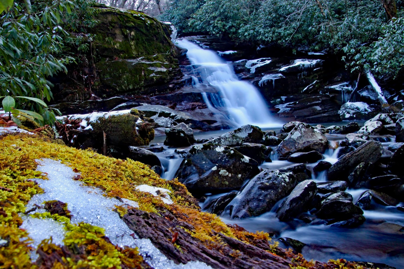 The Adventures of Bushwhack Jack: 2019-11-16 Fort Harry Smokies Adventure