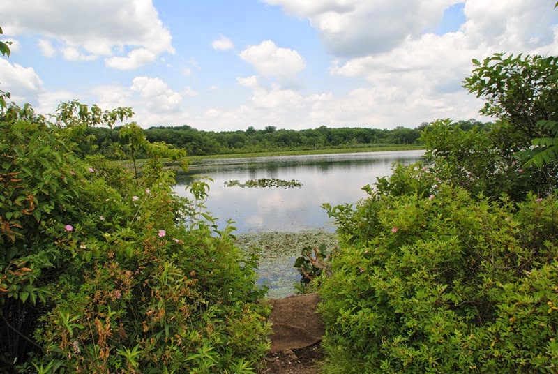 Southeastern PA Hiking: Lake Towhee County Park