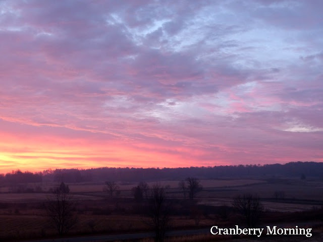 Cranberry Morning: The Sun Comes Up, It's a New Day Dawning